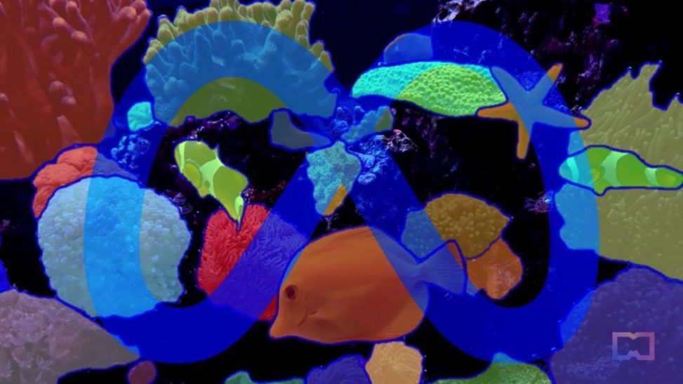 Meta presents an AI model for image segmentation - HIGHXTAR.