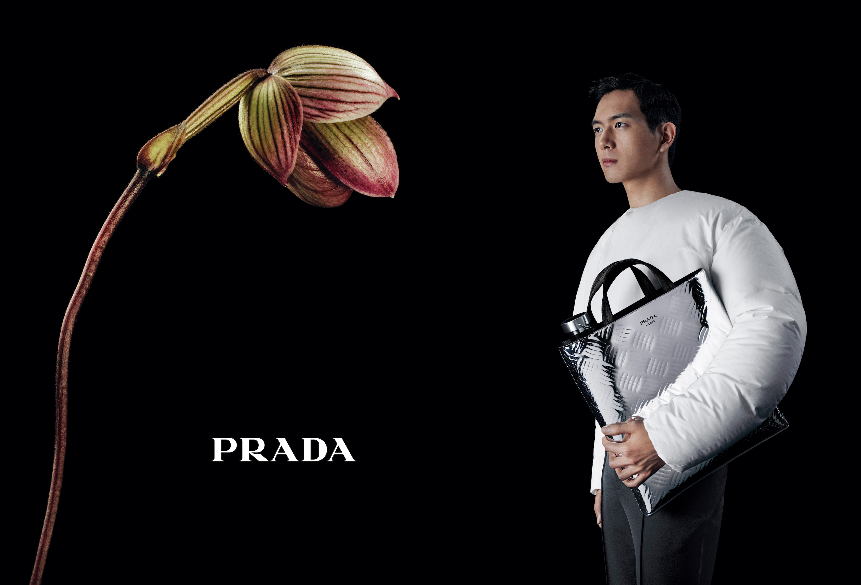 Prada converses with flowers in its FW23 campaign - HIGHXTAR.