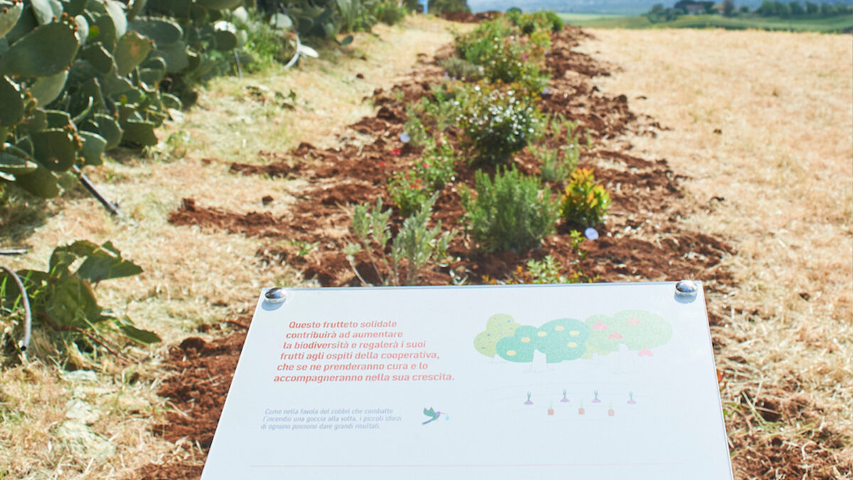 Fendi commits to urban biodiversity - HIGHXTAR.